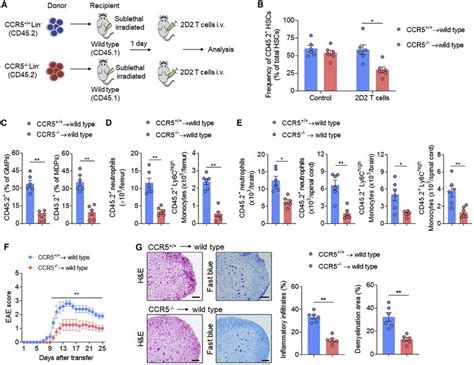 Bone Marrow Hematopoiesis Drives Multiple Sclerosis Progression