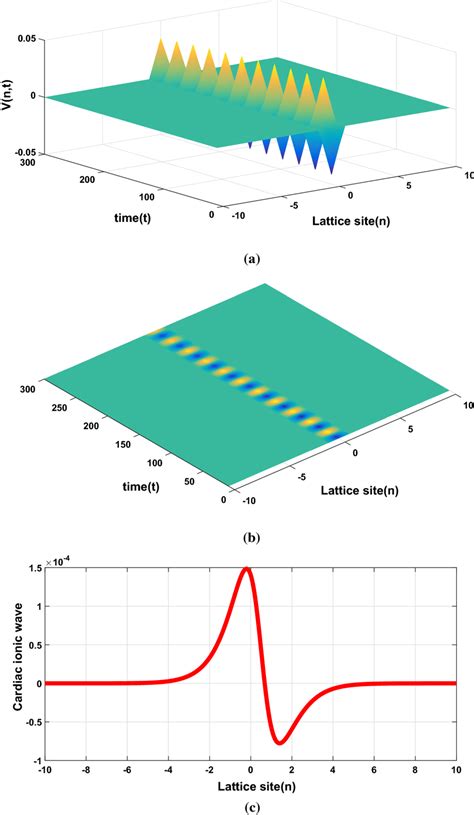 Color Online Spatiotemporal Evolution Of The Cardiac Ionic Wave In