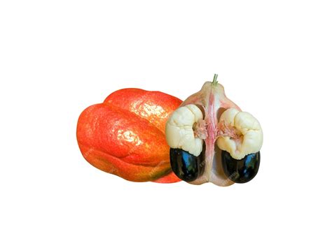 Die Ackee Auch Bekannt Als Acki Akee Oder Ackee Apfel Oder Blighia