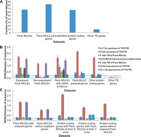 The Density Of Dnase I Hypersensitive Sites For Tes Pack Mules