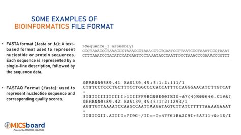 Intro To Bioinformatics For Beginers Student Ppt