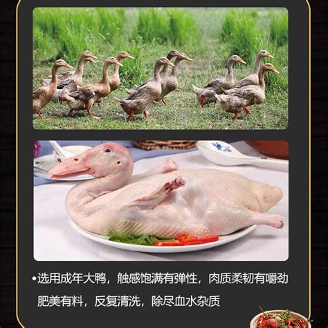 金湘权湘情湘味邮政919金湘权手撕酱板鸭328g老品牌价格 图片 正品 报价 邮乐网