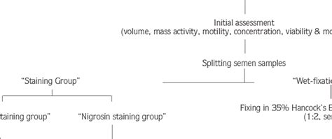 Experimental Design Download Scientific Diagram