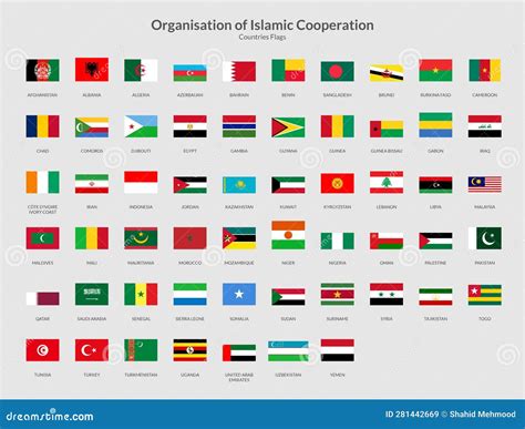 Oic Countries Rectangle Flag Icon Cartoon Vector