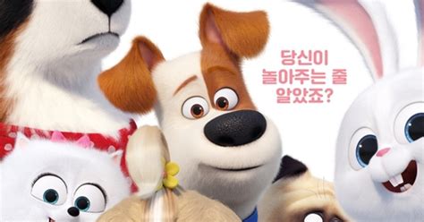 마이펫의 이중생활2 오늘 31일 개봉 외화 예매율 1위 최고의 가족영화