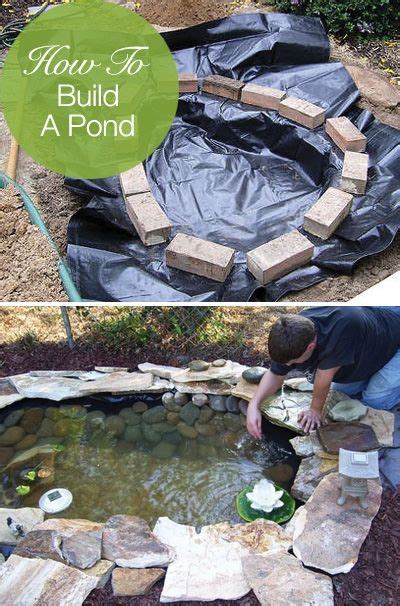 How To Build A Pond Craftionary