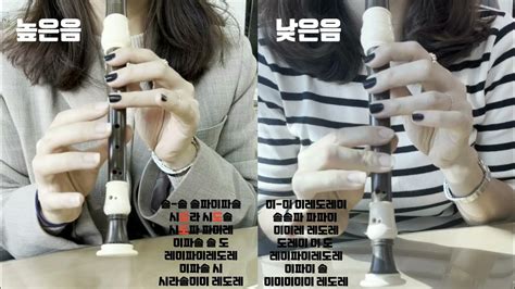학교가는 길 리코더 높은음 낮은음 미래엔 Youtube