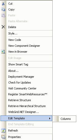 Intersoft Solutions Support Webgrid Tutorial Implement Custom Cell Template