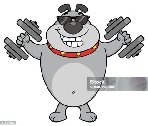 아령으로 운동 하는 선글라스와 회색 불독 만화 마스코트 캐릭터를 웃 고 가리키기에 대한 스톡 벡터 아트 및 기타 이미지 가리키기 가축 개 Istock