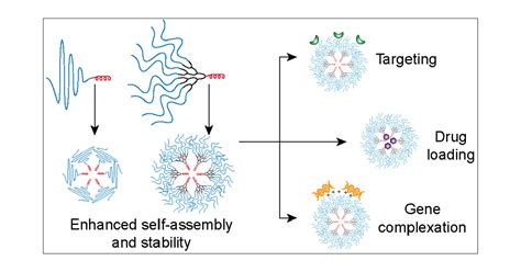 Dendriticlinear Copolymer And Dendron Lipid Nanoparticles For Drug And Gene Delivery