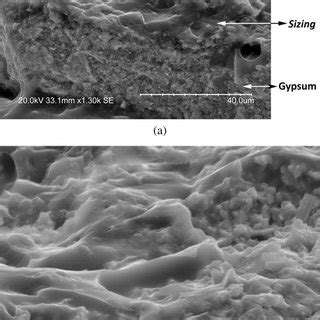 A Example Of A Secondary Electron Image Of The Sizing On The Ground Download Scientific