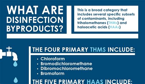 Exams And Me Trihalomethanes And Cancer