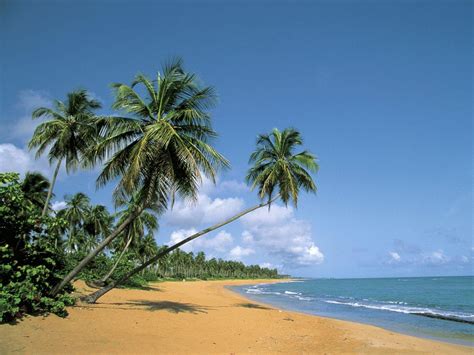 Puerto Rico Beach Wallpapers Top Free Puerto Rico Beach Backgrounds