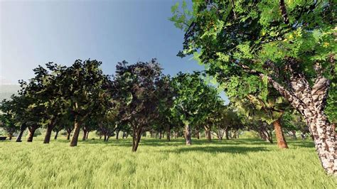 Fruit Orchard V10 Fs22 Mod Farming Simulator 22 Mod