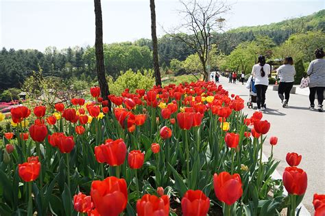 가족과 함께하는 봄나들이 견학