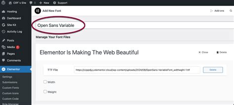 Use Variable Fonts Elementor