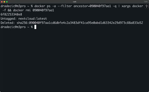 Docker Remove Image Como Excluir Imagens Pendentes E Não Utilizadas Datacamp