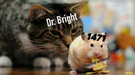 171 Best Scp 1471 Images On Pholder Scp Dank Memes From Site19 And Scp Memes