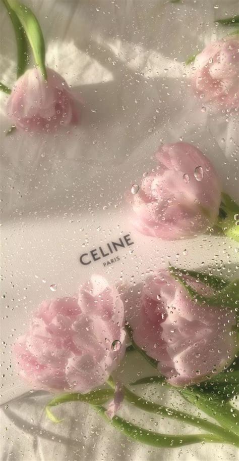 รวมรูป ดอกไม้ในกระจก ภาพพื้นหลังสุดฮิต ไวรัลดังจากทวิตเตอร์ Thaiger ข่าวไทย