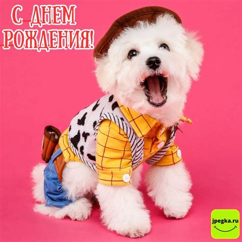 Открытки с Днём рождения с собаками 65 картинок
