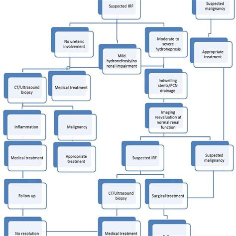 Treatment Algorithm Of Retroperitoneal Fibrosis Download Scientific Diagram
