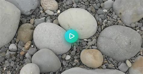 12 Million Year Old Monster Fossil Crab Exposed  On Imgur