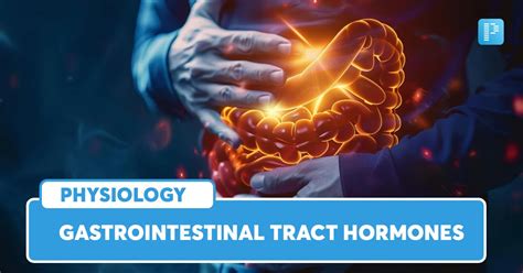 Gastrointestinal Tract Hormones Prepladder