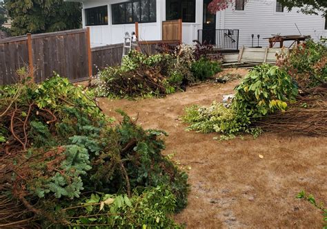 Yard Debris Removal Yard Waste Removal Seattle Wa