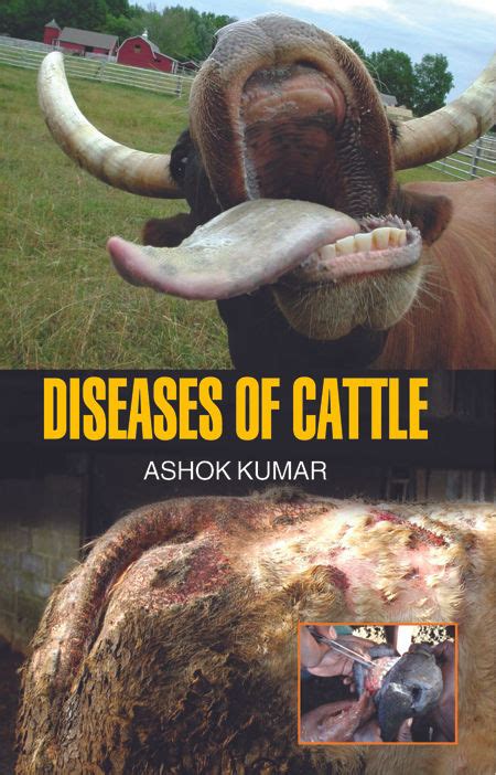 Diseases Of Cattle Discovery Publishing