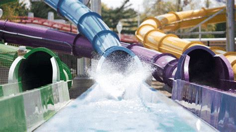 National Waterpark Day S Find And Share On Giphy