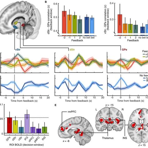 Implicit And Explicit Feedback Signals In The External Globus Pallidus