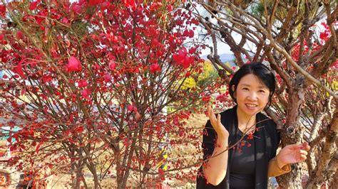 만발한 가을꽃보다 더 아름답고 항상 정성으로 나를 지켜주는 아내 오랜 세월 인내하며 진실한 사랑을 완성 해주어 감사합니다 그런 사람 또 없습니다 이승철 테너색소폰