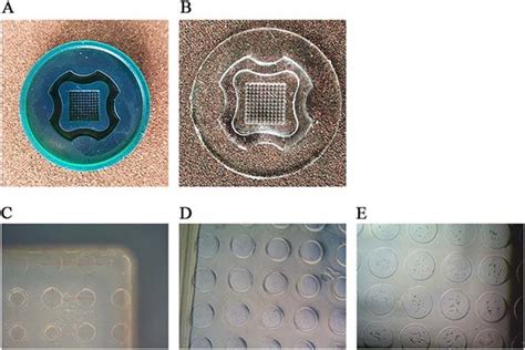 The Fabrication Process To Fabricate Agarose Concave Microwell Array