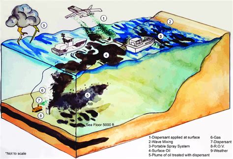 illustration showing the transport of the oil and how dispersant were