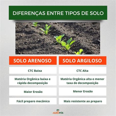 O Solo Exerce Um Papel Primordial Na Produção Agrícola Pois é Dele Que