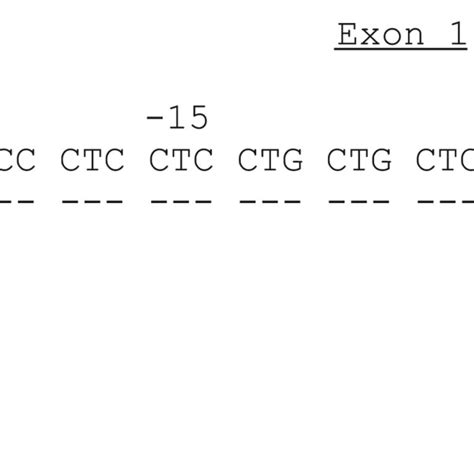A From Exon 1 To Exon 4 The DNA Sequence Of B 13 173 Is Identical To Download Scientific
