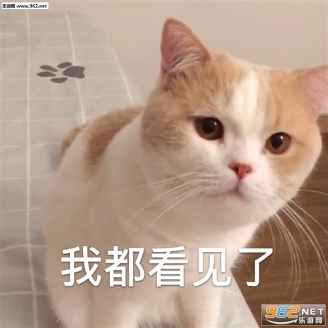 看见了 壁纸 绘本 大山谷图库