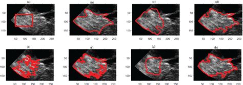 Figure 10 From A Fast Level Set Curve Flow Formulation By Logarithmic