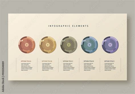 5 Step Workflow Infographic Stock Template Adobe Stock