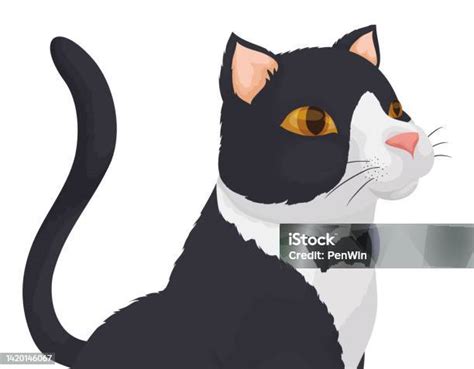 활 넥타이와 같은 패치가있는 우아한 턱시도 고양이 벡터 일러스트 레이 션 가공의 인물에 대한 스톡 벡터 아트 및 기타 이미지 가공의 인물 가축 고양이 새끼 Istock