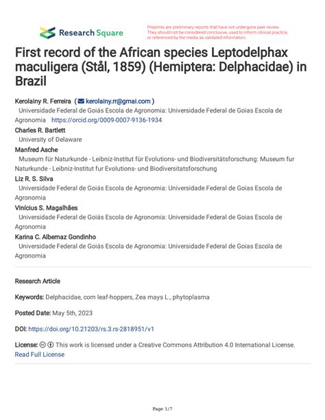 Pdf First Record Of The African Species Leptodelphax Maculigera Stål