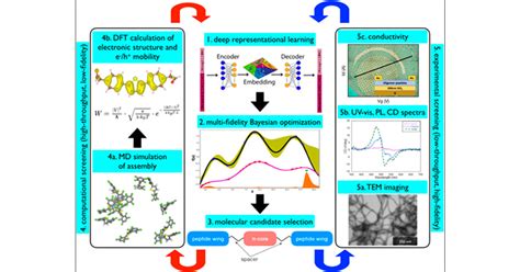 Evolution Of π Peptide Self Assembly From Understanding To Prediction And Control Langmuir