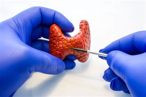 Thyroid Imbalance What To Expect How To Feel Better Qua Nutrition