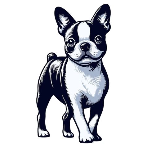 귀여운 보더 콜리 개 만화 ⁇ 터 스타일 ⁇ 색 배경 프리미엄 벡터