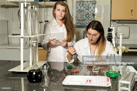 화학 또는 제약 실험실에서 일하는 두 명의 여성 실험실 기술자 팀 2명에 대한 스톡 사진 및 기타 이미지 2명 Stem 주제 건강관리와 의술 Istock