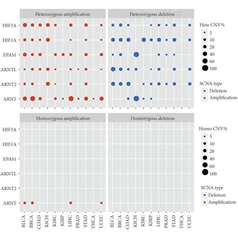 Copy Number Variations Contribute To Abnormal Expression Of Download Scientific Diagram