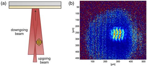 A Schematic View Of The Direct Imaging Method B Exemplary Image
