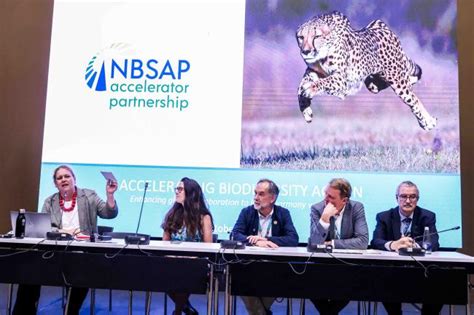 Hl Segment Panel Hlnbsap 30oct24 Photo Iisd Earth Negotiations Bulletin