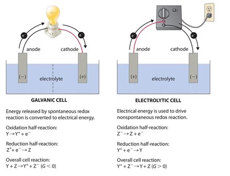 Solved Explain The Difference Between A Voltaic Cell And An