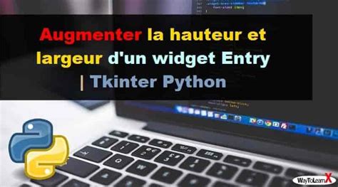 Augmenter La Hauteur Et Largeur Dun Widget Entry Tkinter Python Waytolearnx